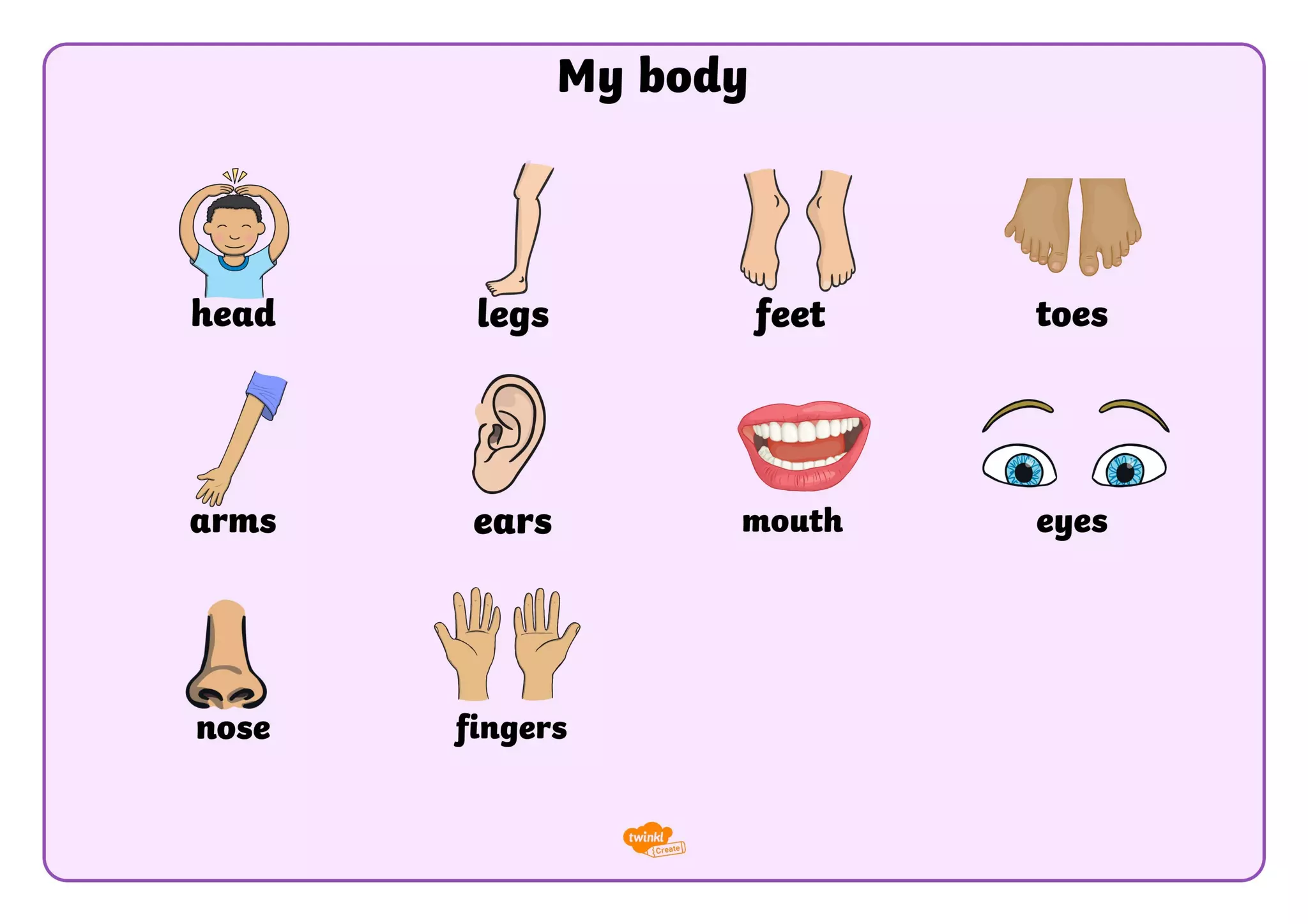 My body wordmat colour | PPT