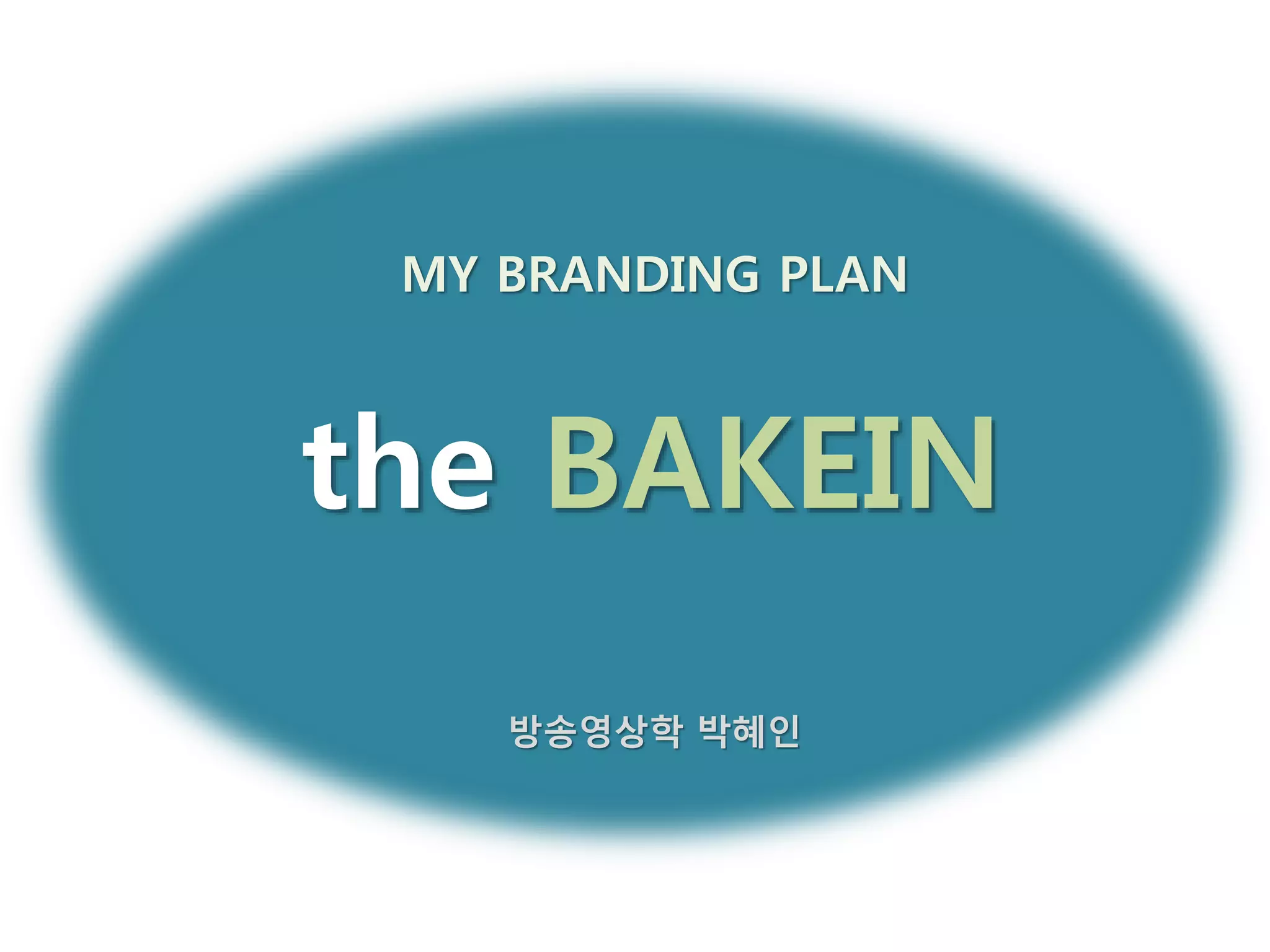 My branding plan | PPTX