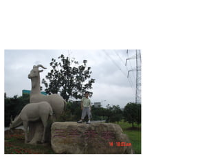 My brother | PPT