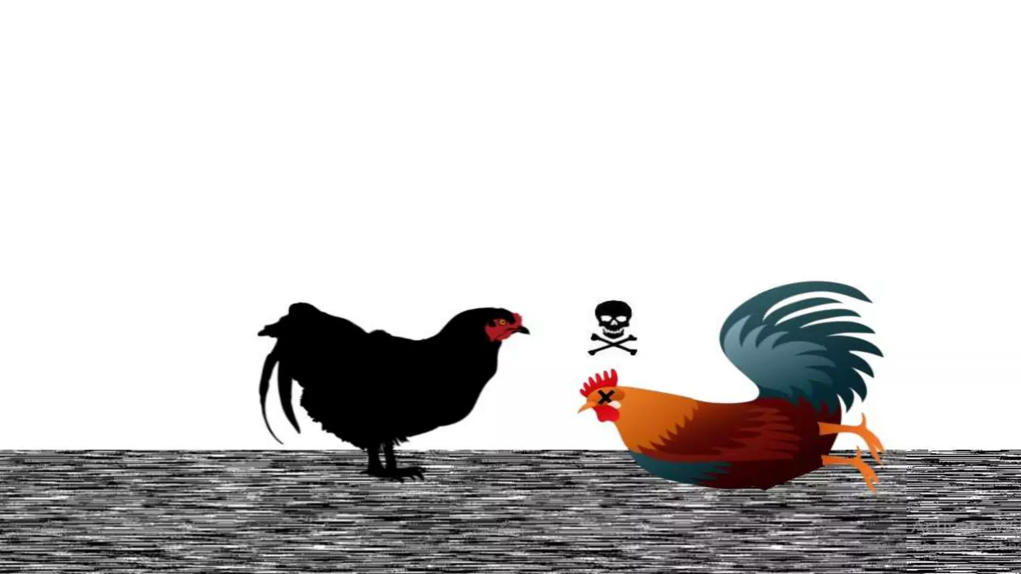 My brother's peculiar chicken | PPTX