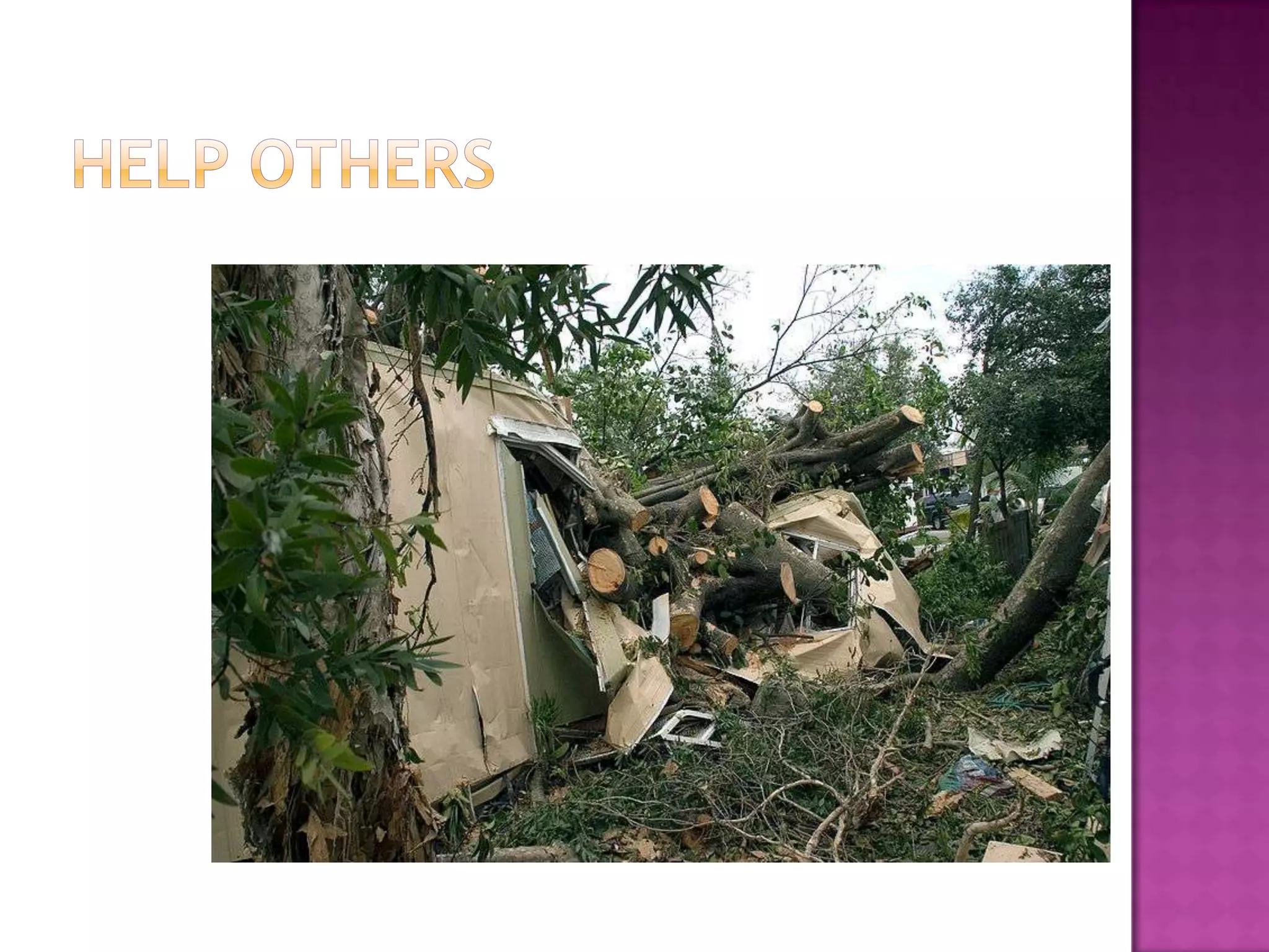 My bucket list | PPTX