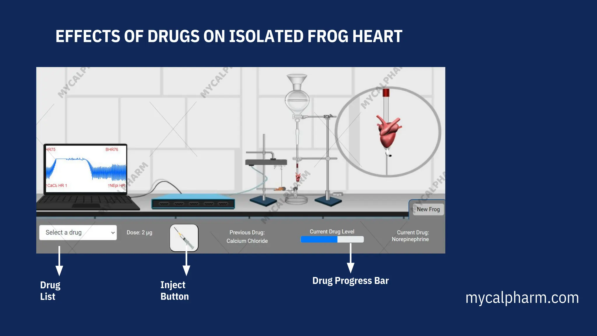 Simulated Animal Experiments in Pharmacology - MyCalPharm | PDF