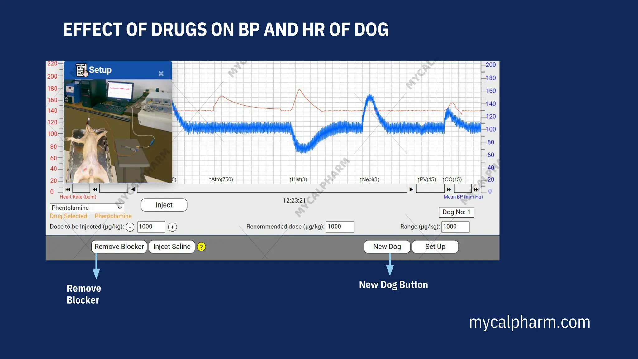 Simulated Animal Experiments in Pharmacology - MyCalPharm | PDF