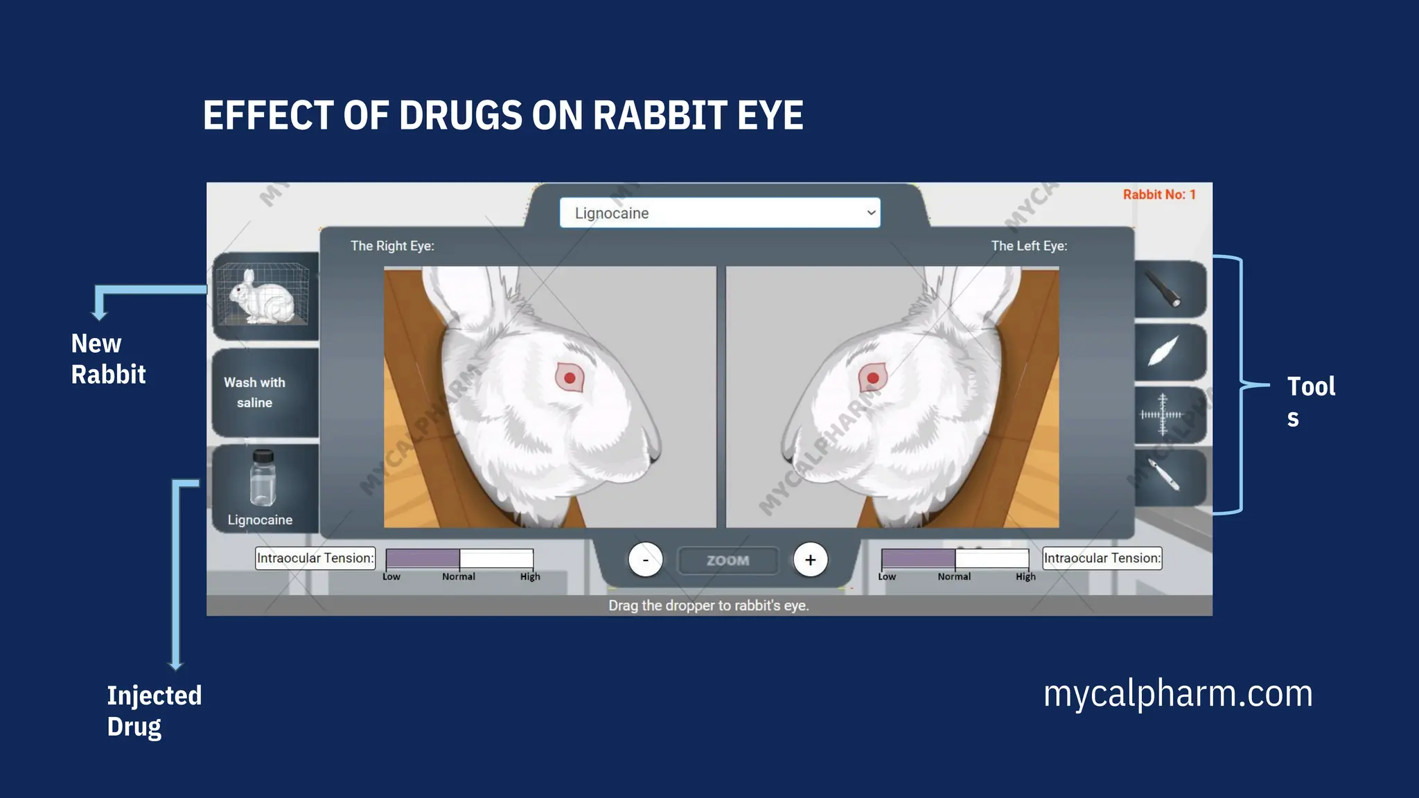 Simulated Animal Experiments in Pharmacology - MyCalPharm | PDF