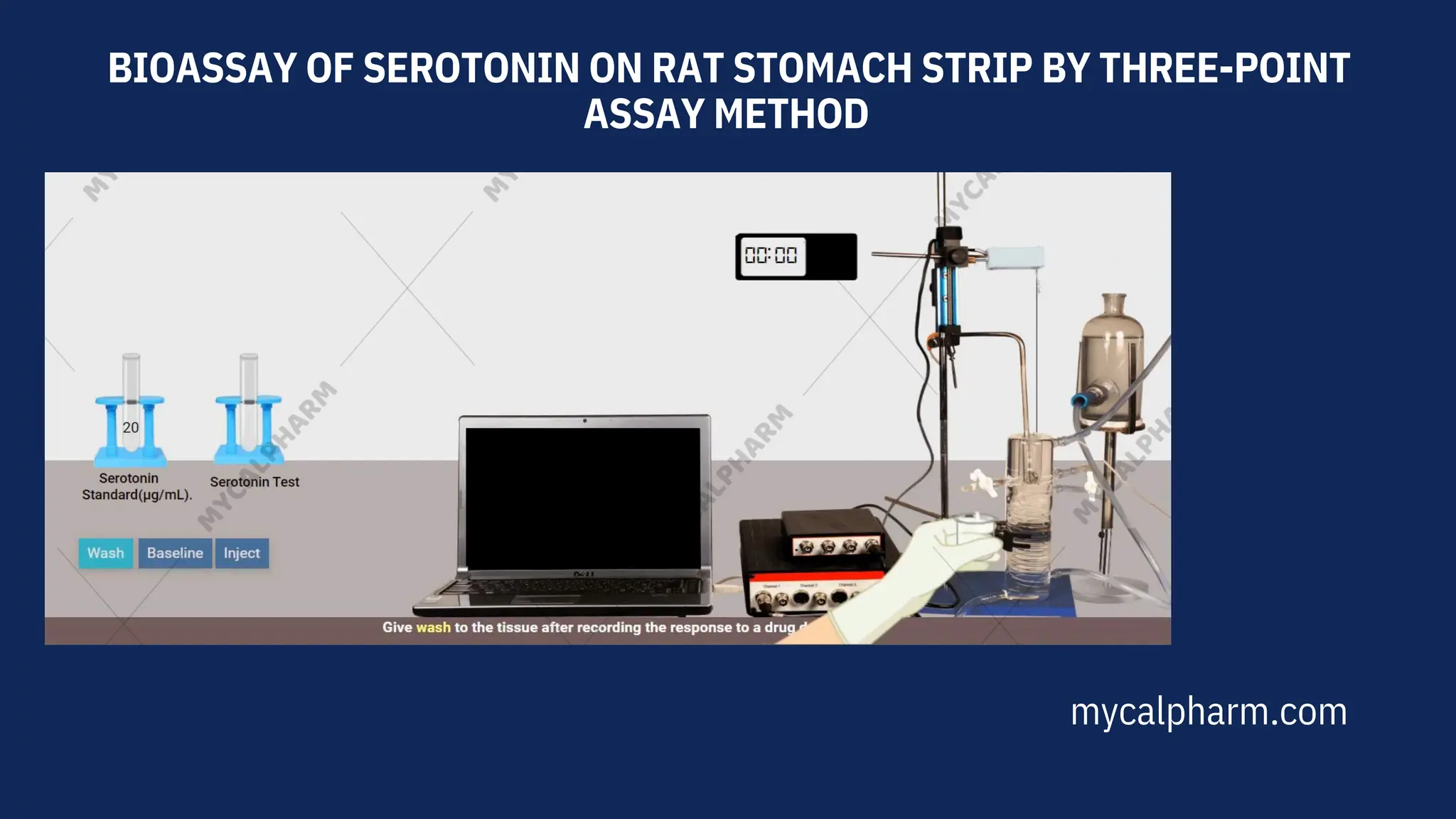 Simulated Animal Experiments in Pharmacology - MyCalPharm | PDF