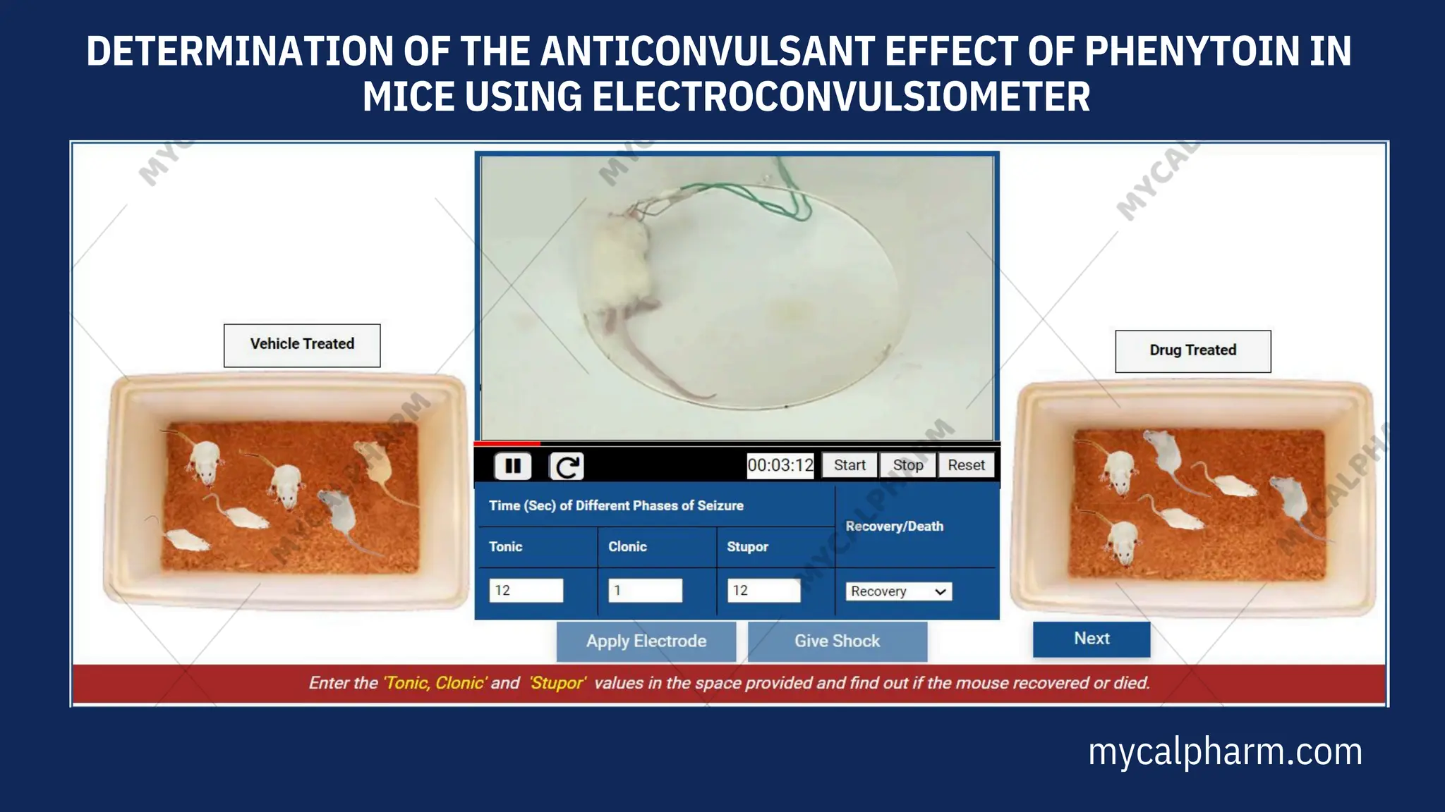 Simulated Animal Experiments in Pharmacology - MyCalPharm | PDF