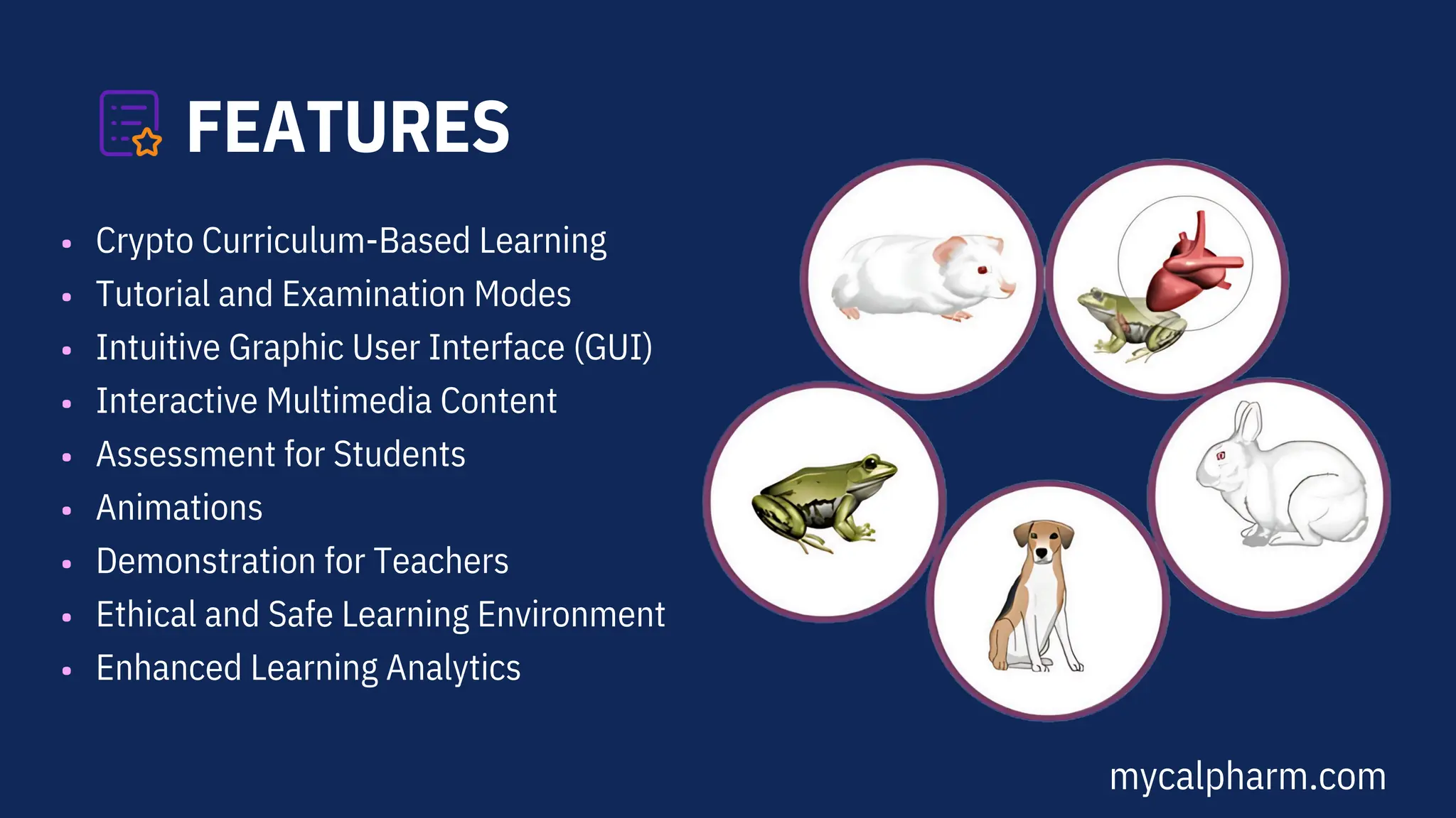 Simulated Animal Experiments in Pharmacology - MyCalPharm | PDF
