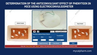 Simulated Animal Experiments in Pharmacology - MyCalPharm | PDF