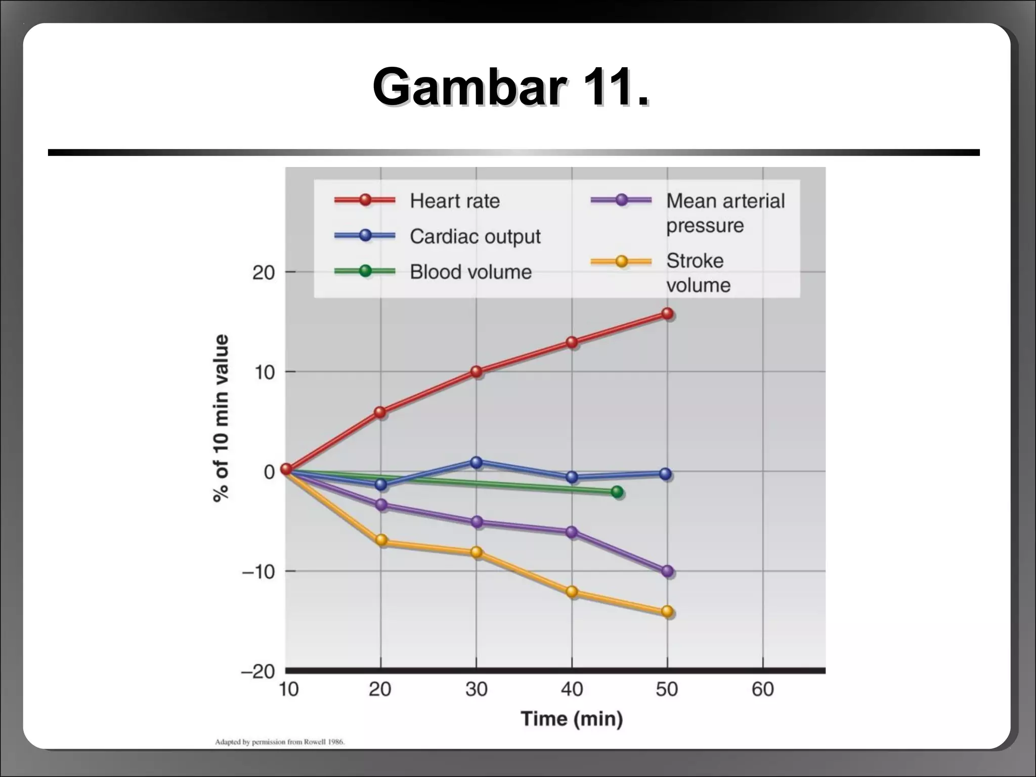 cardiovascular response to exercise | PPT