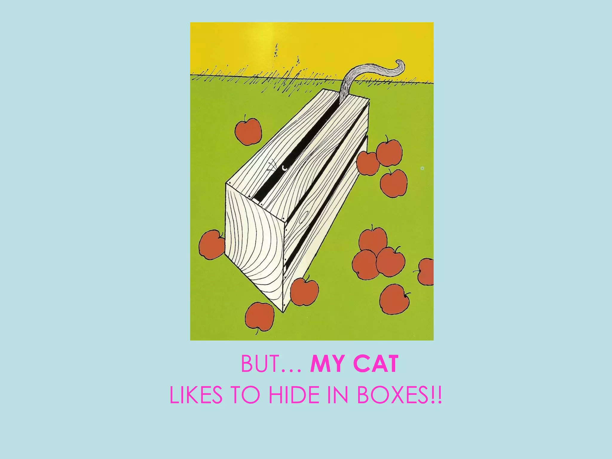 My cat likes to hide in boxes | PPT