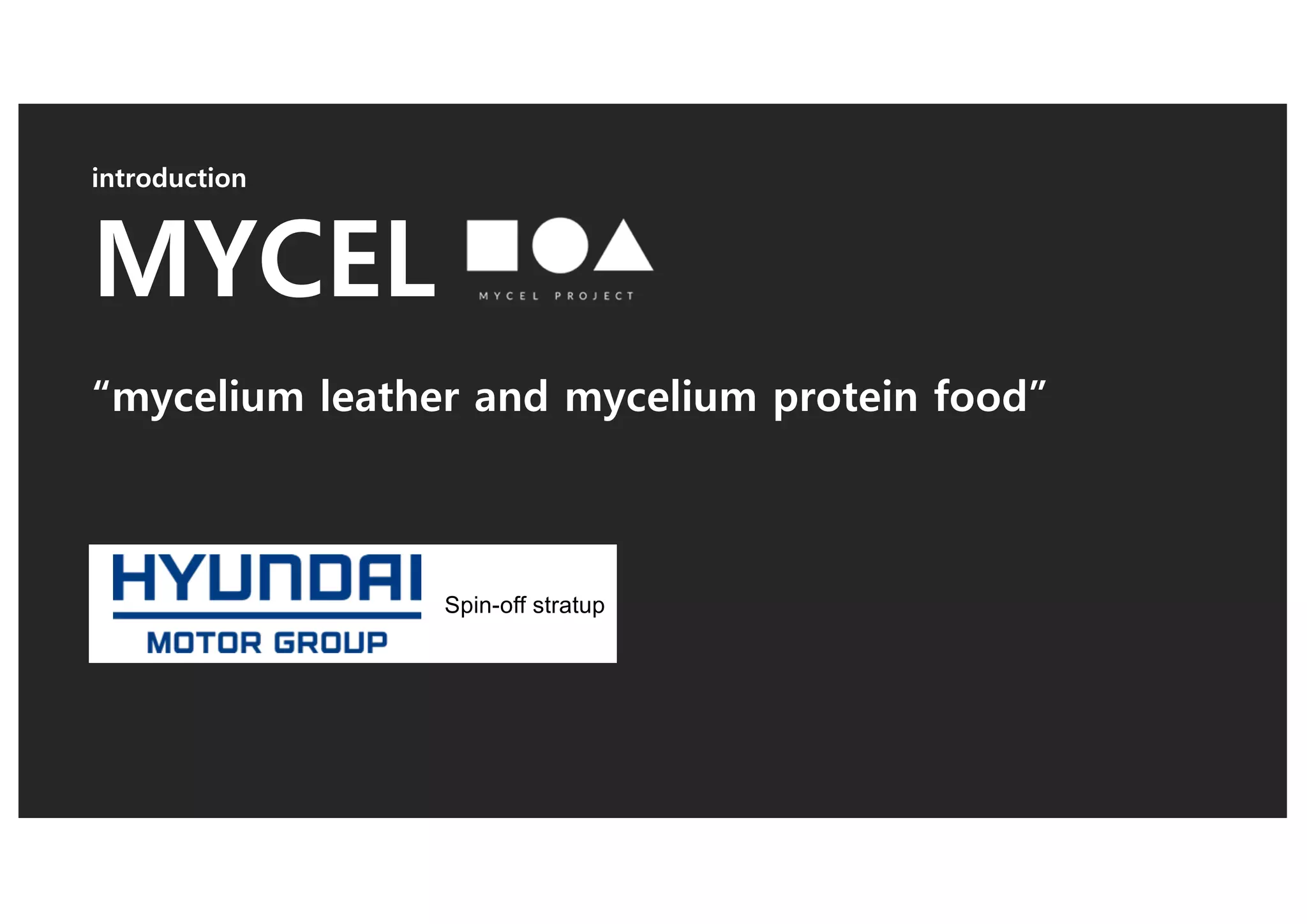 MYCEL introduction.pdf