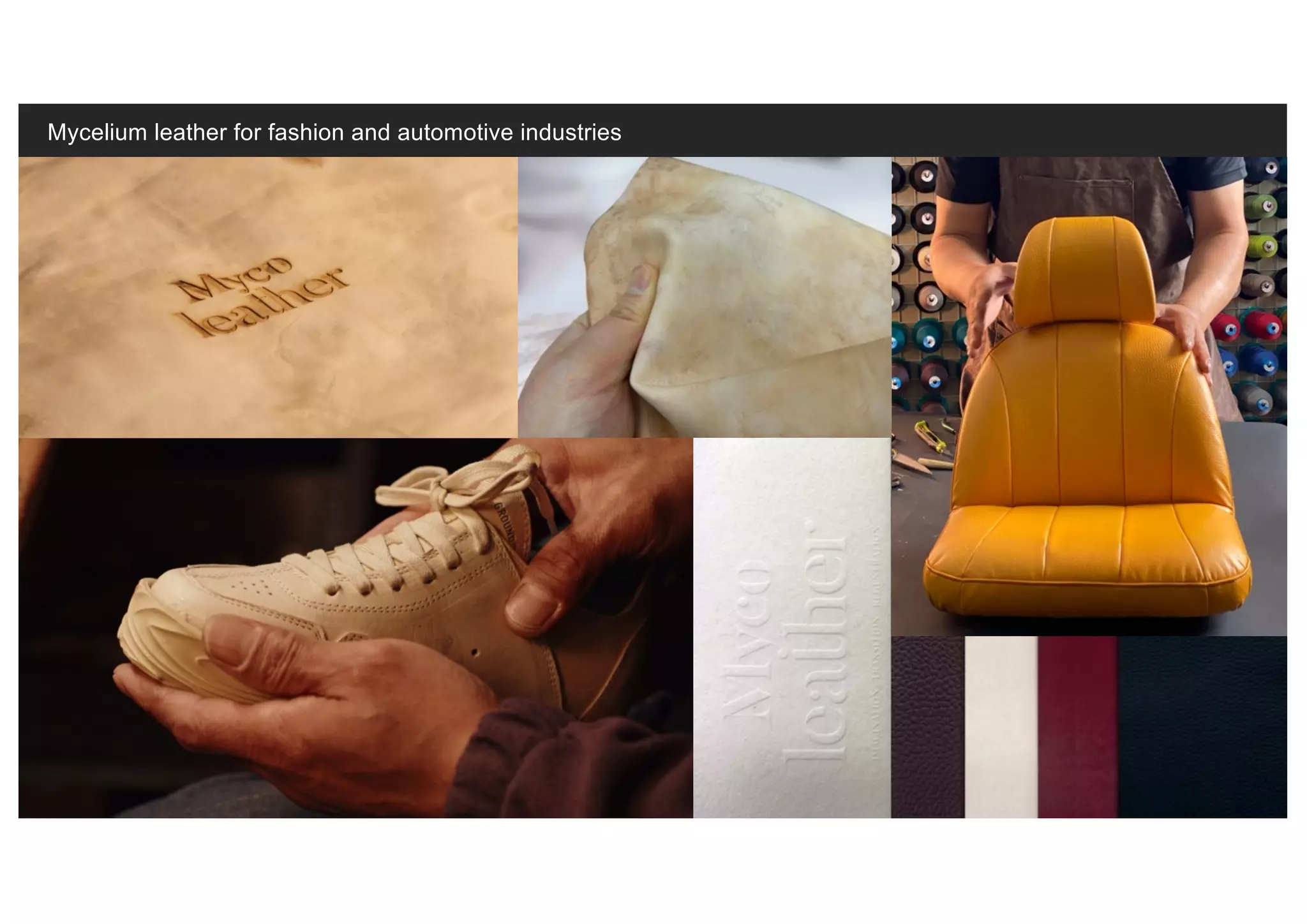 MYCEL introduction.pdf