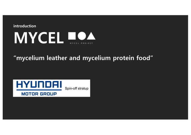 MYCEL introduction.pdf