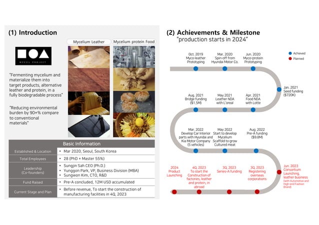MYCEL introduction.pdf