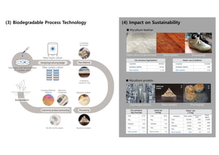MYCEL introduction.pdf
