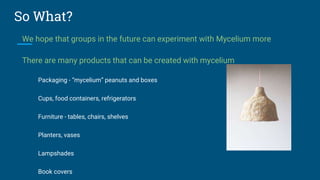 Mycelium | PPTX