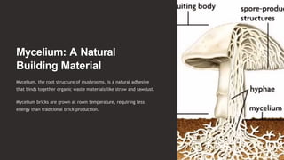 mycelium brick presentation final ppt.pptx