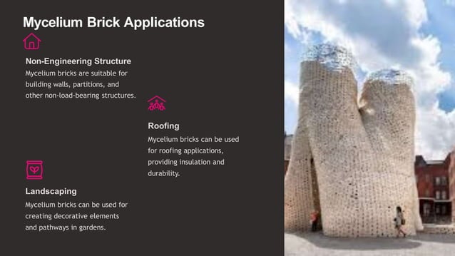 mycelium brick presentation final ppt.pptx