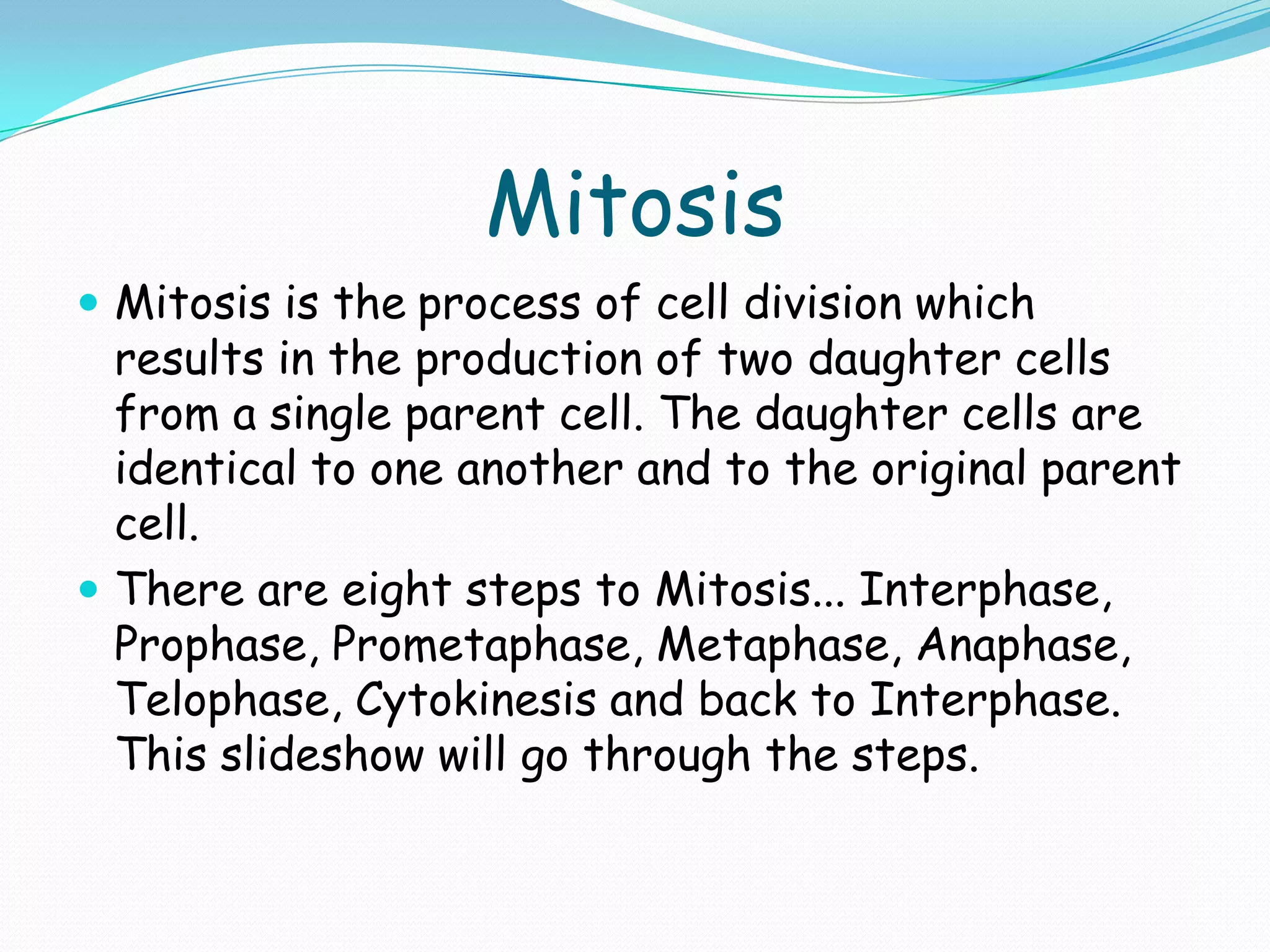 My cell flipbook | PPTX