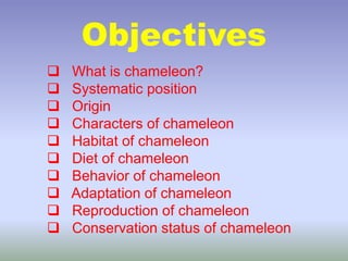 chameleon | PPTX