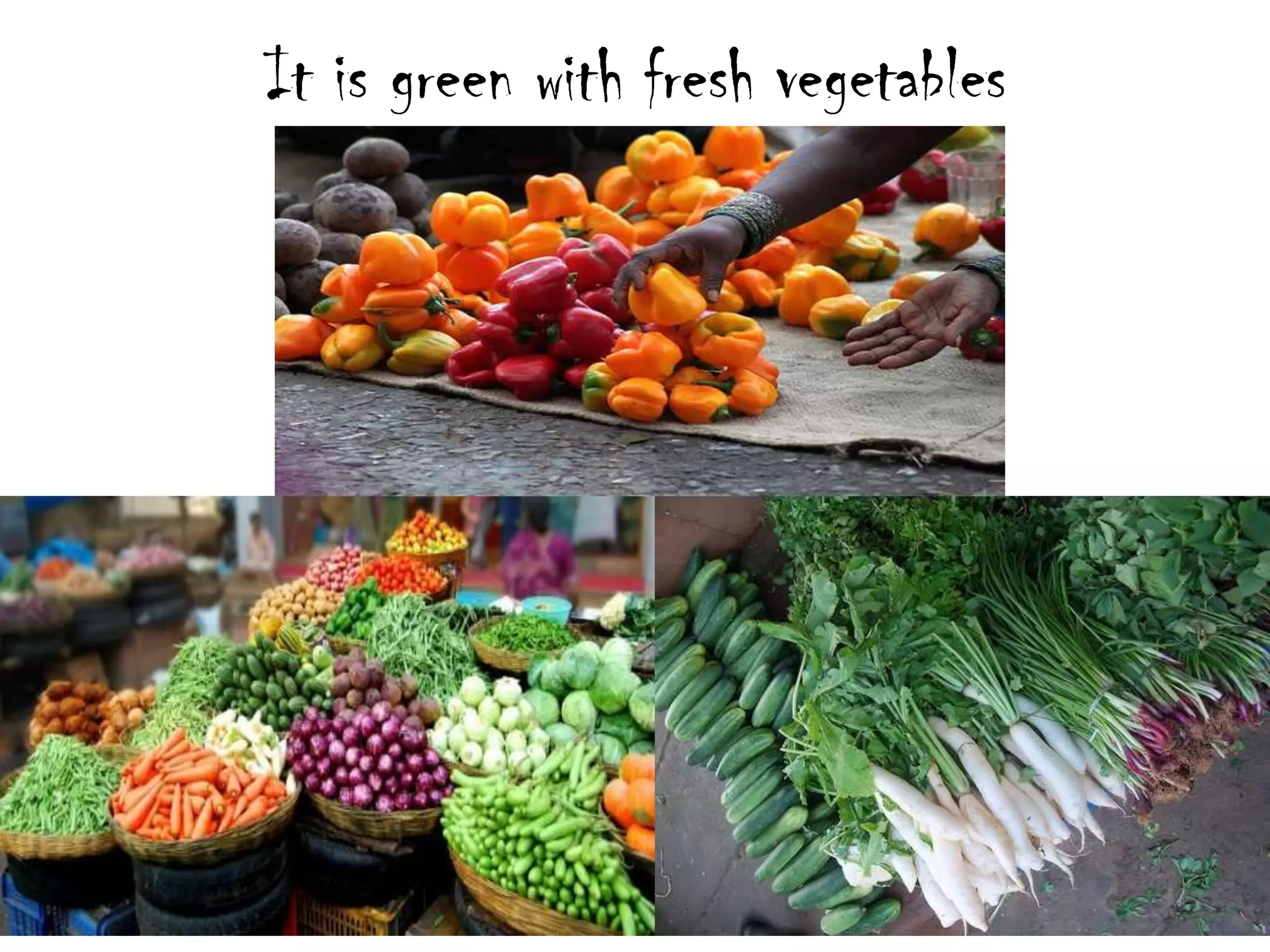 Speaking Trees | PPTX