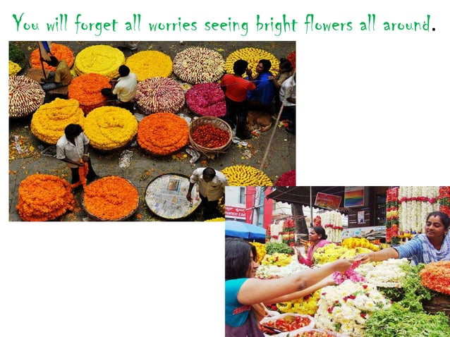 Speaking Trees | PPTX