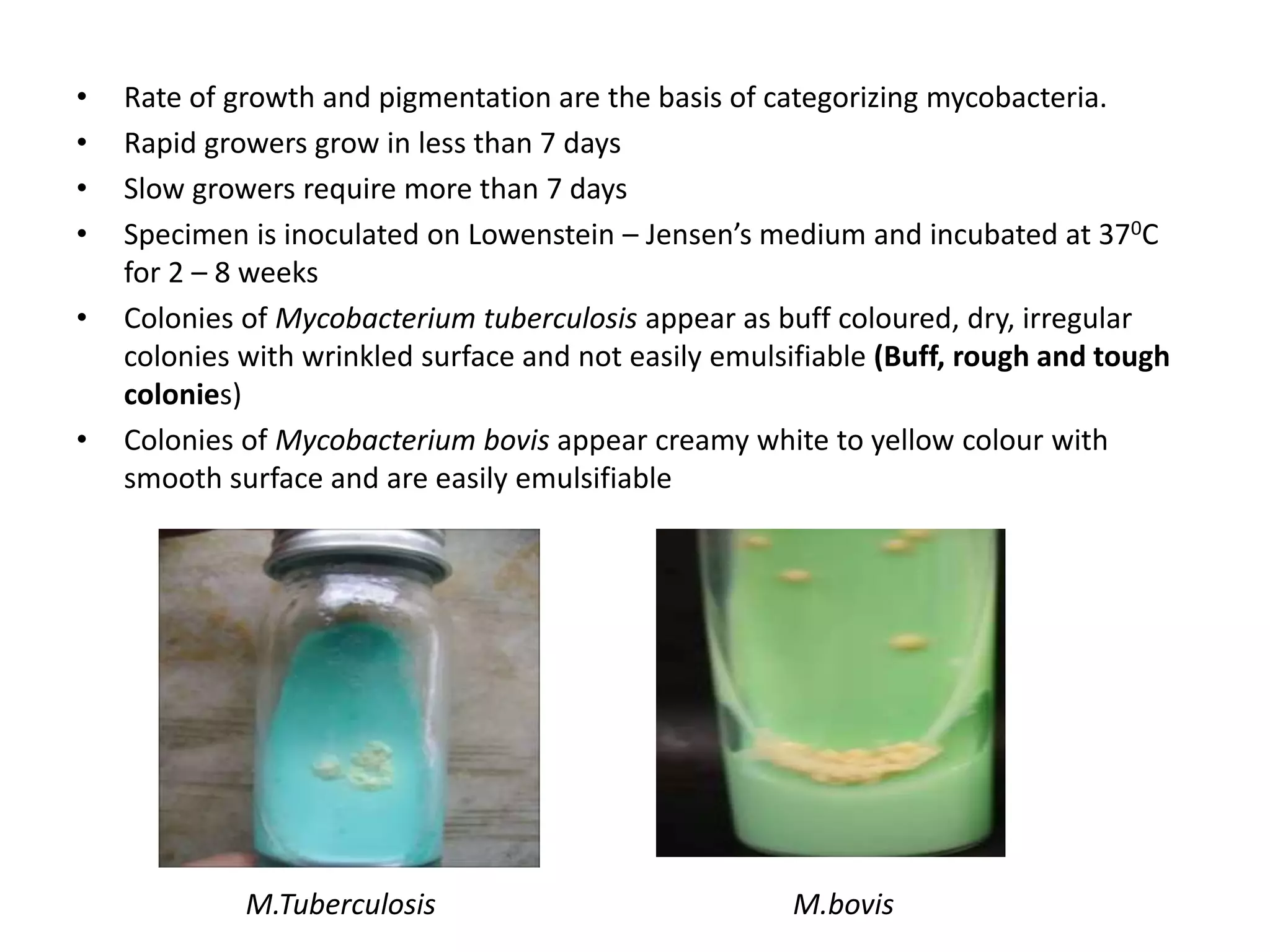 Mycobacteria.pptx