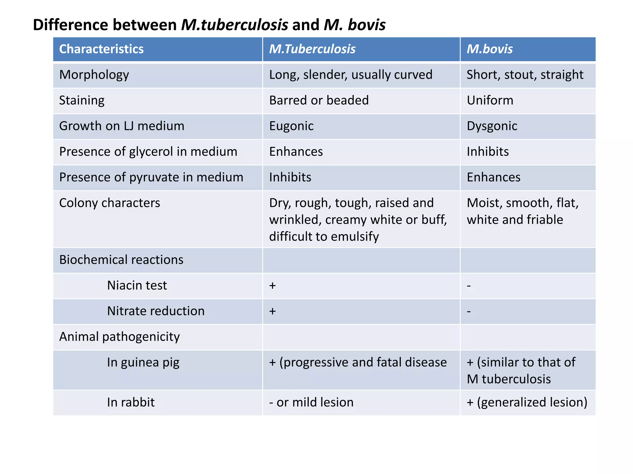 Mycobacteria.pptx