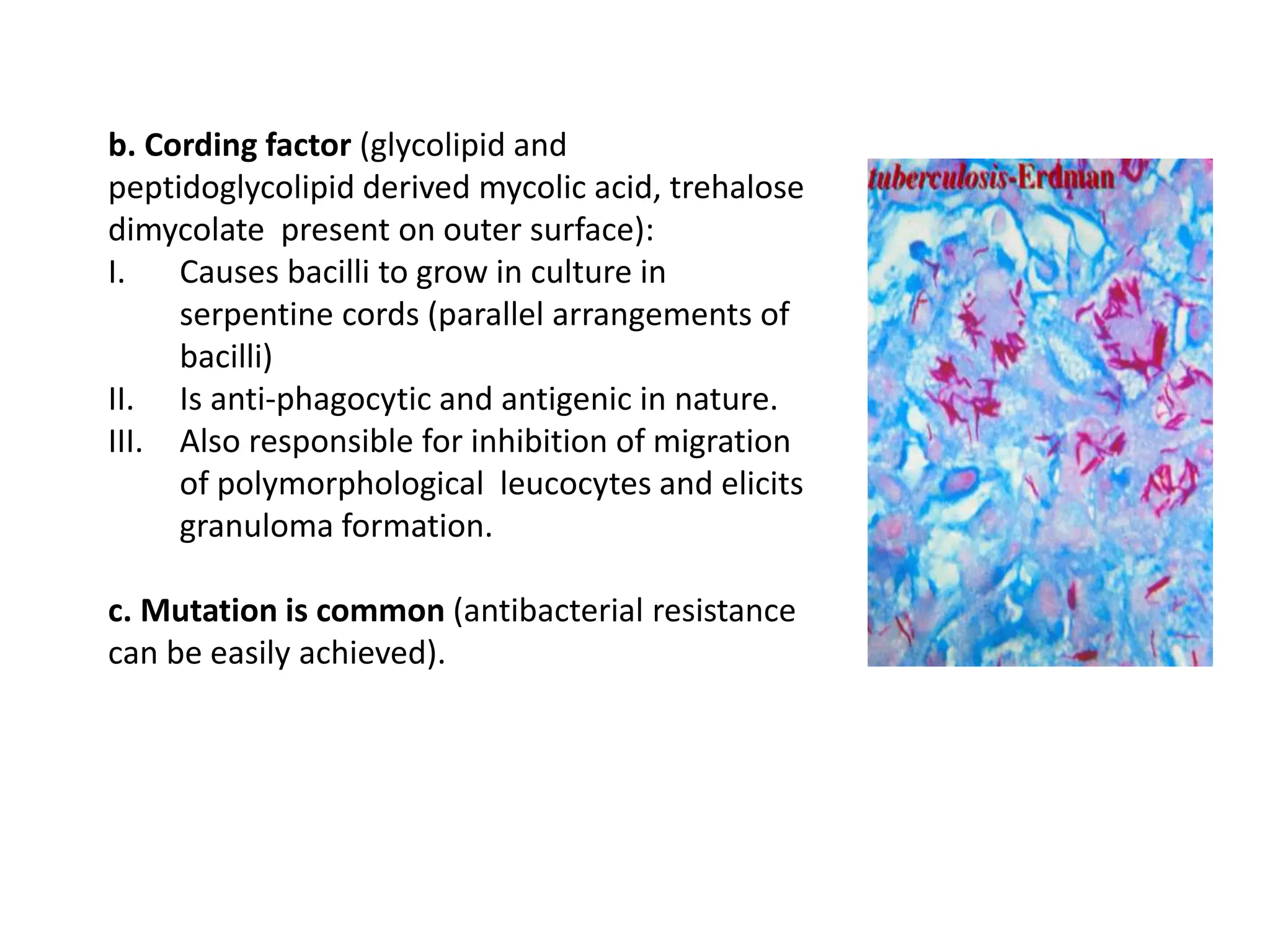 Mycobacteria.pptx