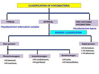 Mycobacterium tuberculosis and M. Leprae.pptx