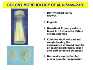Mycobacterium tuberculosis and Leprosy- lab diagnosis.pptx
