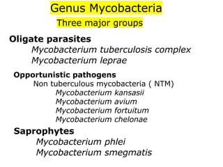 Mycobacterium tuberculosis and Leprosy- lab diagnosis.pptx