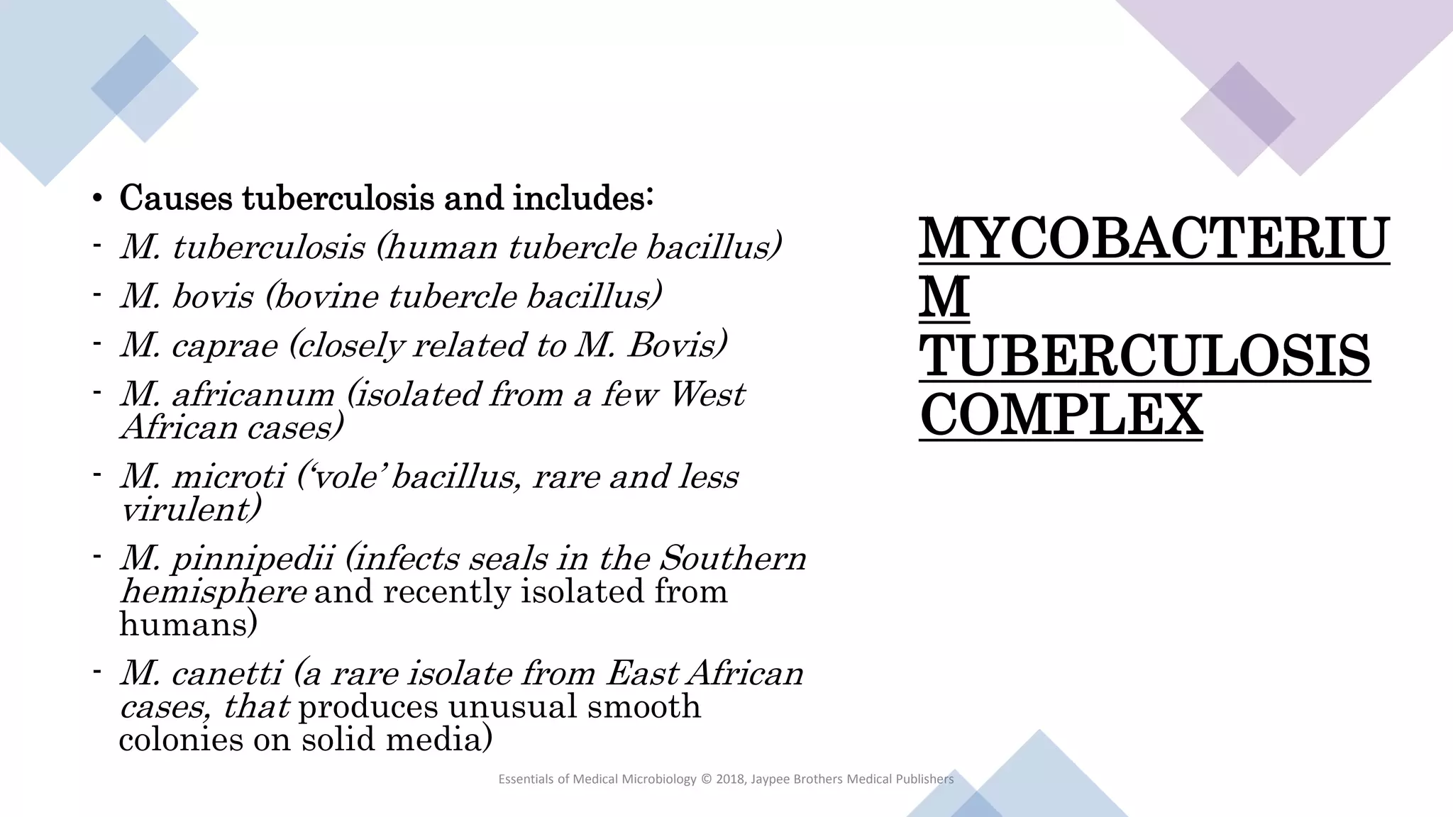 Mycobacterium TB- Dr.Ashna Ajimsha | PPTX