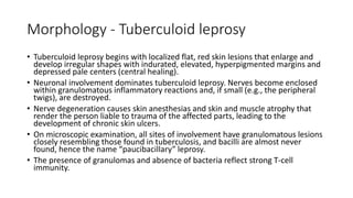Mycobacterial diseases | PPTX