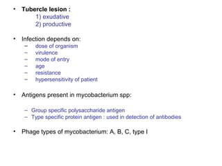 Mycobacteria | PPT