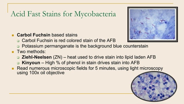 Mycobacteriology 2020 | PPT
