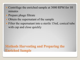 Mycobacteriophages | PDF