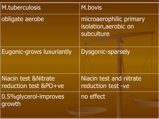 Mycobacterium | PPT