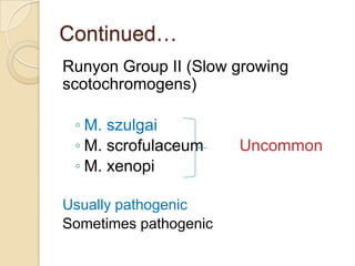 Mycobacterium | PPTX