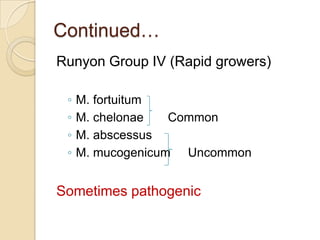 Mycobacterium | PPTX