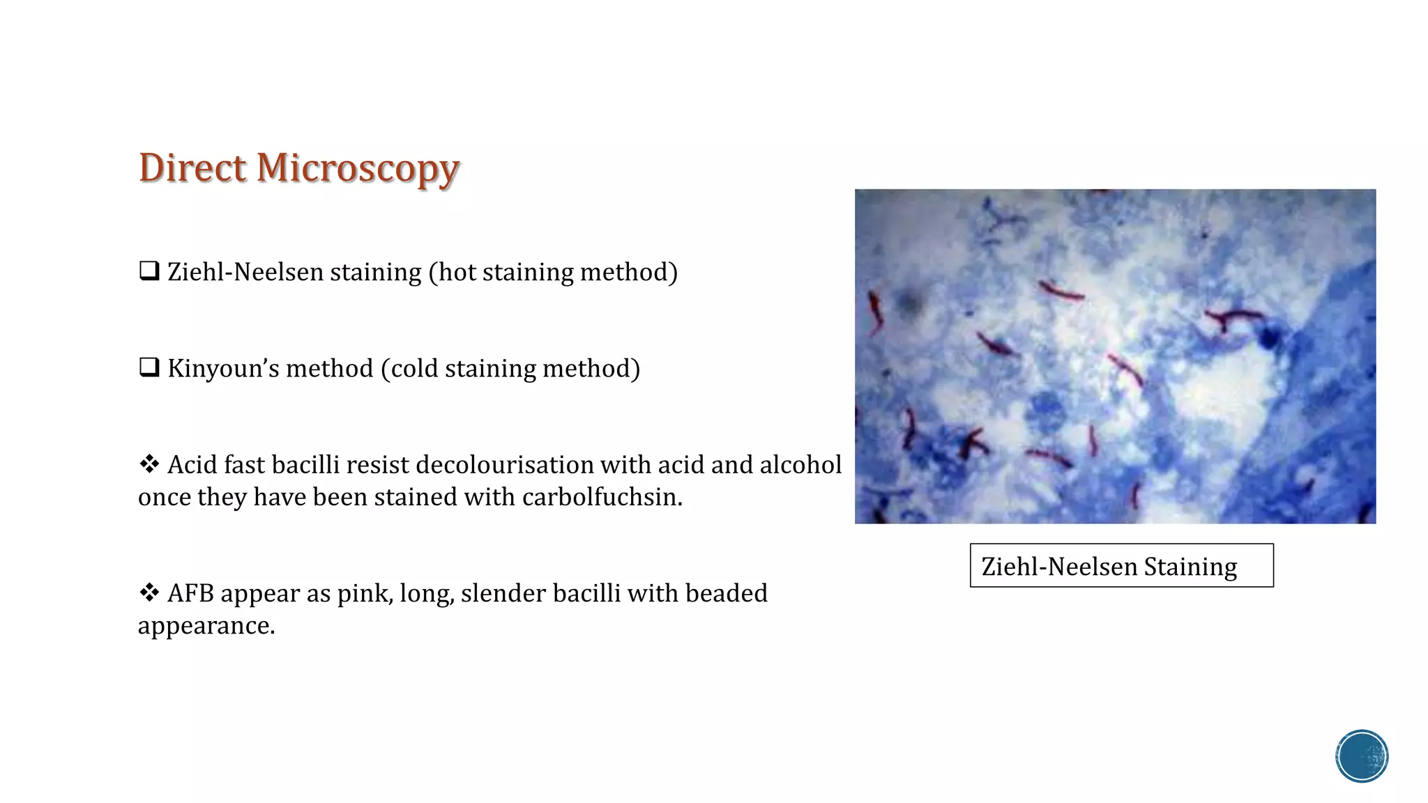 Mycobacterium | PPTX