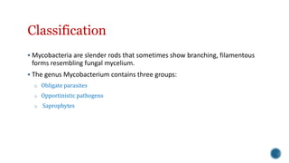Mycobacterium | PPTX