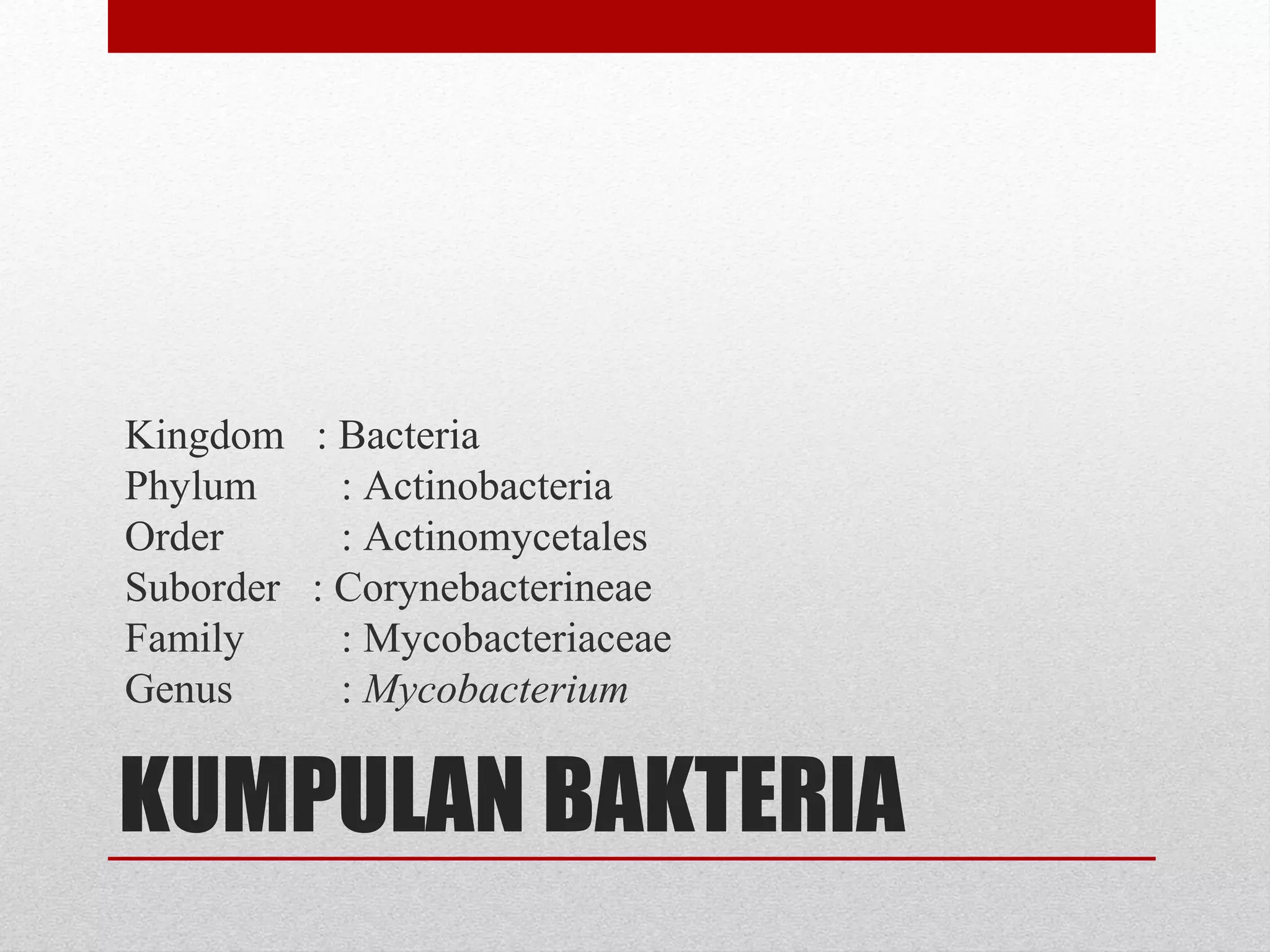 Mycobacterium | PPT | Free Download