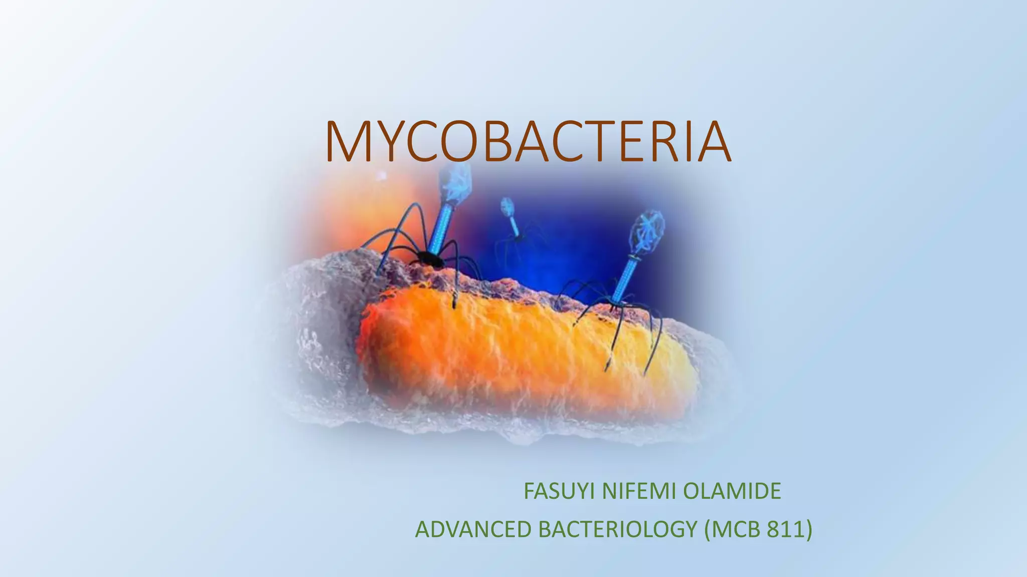 Mycobacteria | PPTX