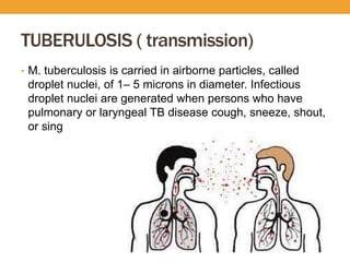 Mycobacterium | PPTX