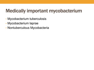 Mycobacterium | PPT