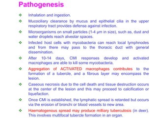 Mycobacterium.ppt bacterial diseases. Tb | PPT | Infectious Diseases ...