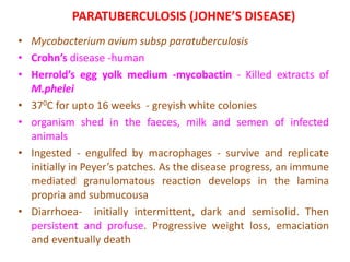 Mycobacterium.ppt bacterial diseases. Tb | PPT | Infectious Diseases ...