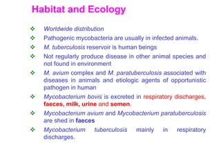 Mycobacterium.ppt bacterial diseases. Tb | PPT | Infectious Diseases ...