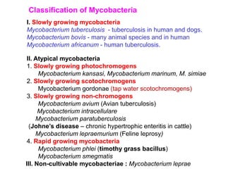 Mycobacterium.ppt bacterial diseases. Tb | PPT